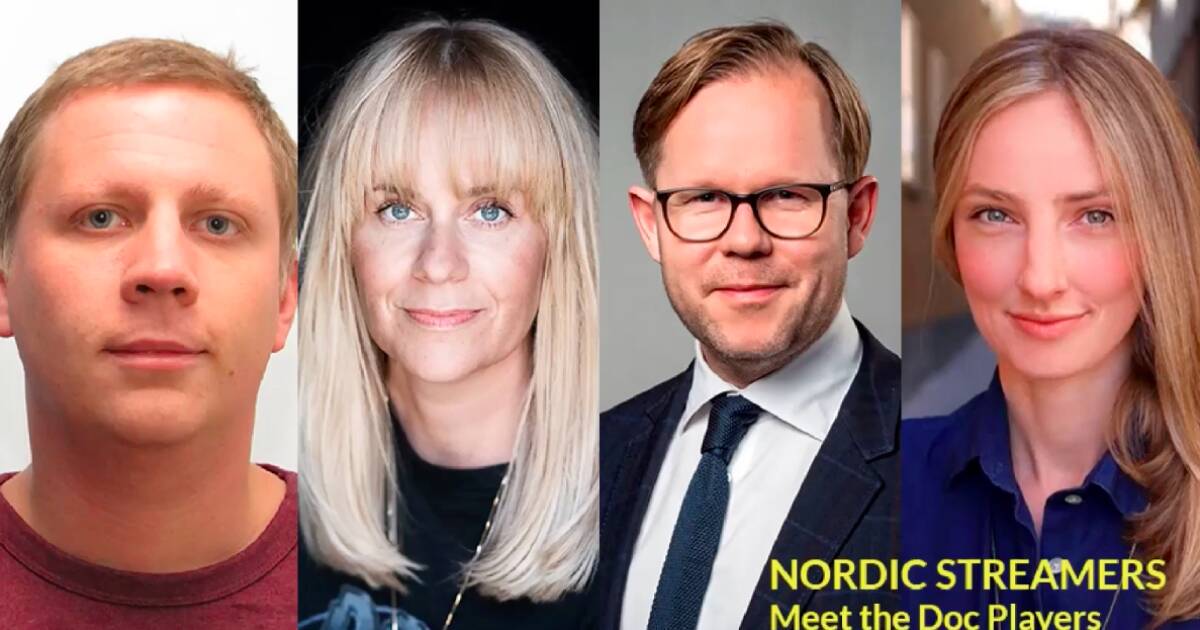 What do Nordic doc streamers want?