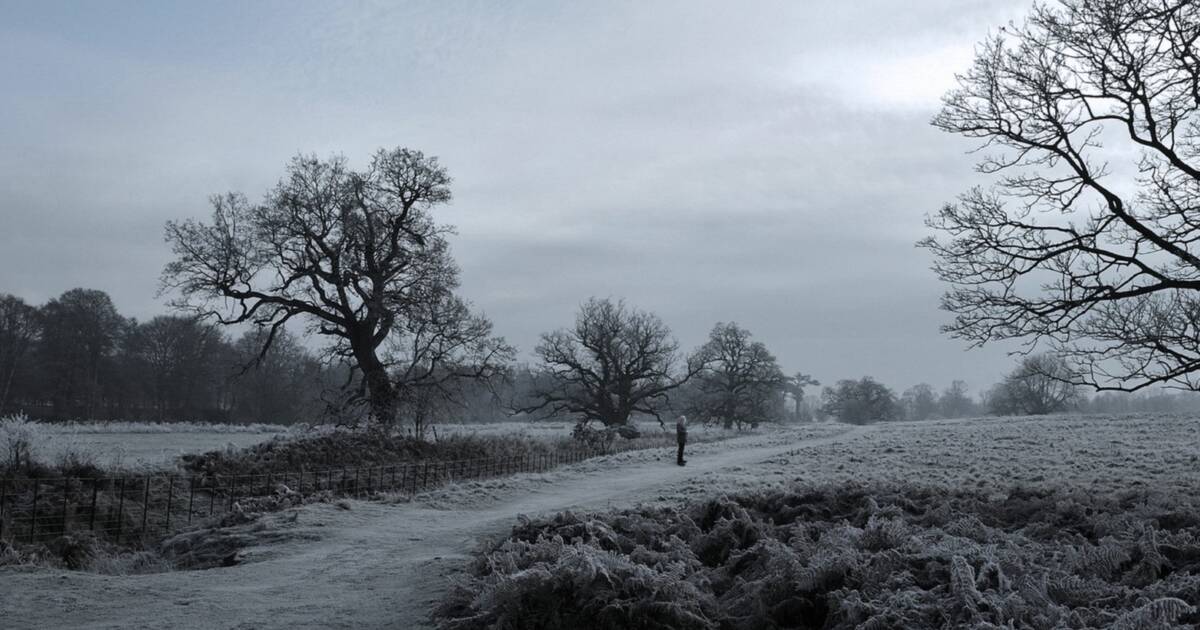 Phie Ambo, Michael Madsen, Daniel Nils Roberts, Hanna Haaslahti get ...